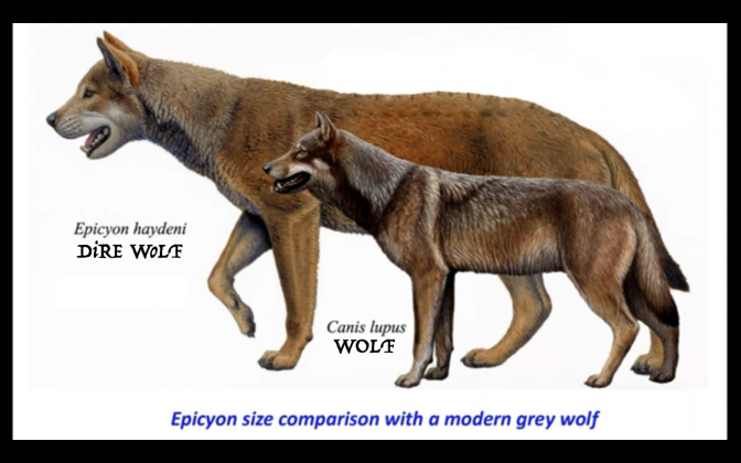 Facts About Dire Wolves - Facts You Might Need To Know About Dire Wolf