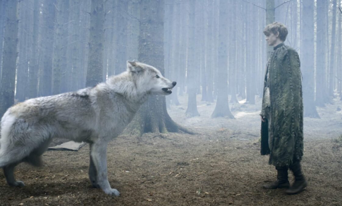Facts About Dire Wolves - Facts You Might Need To Know About Dire Wolf