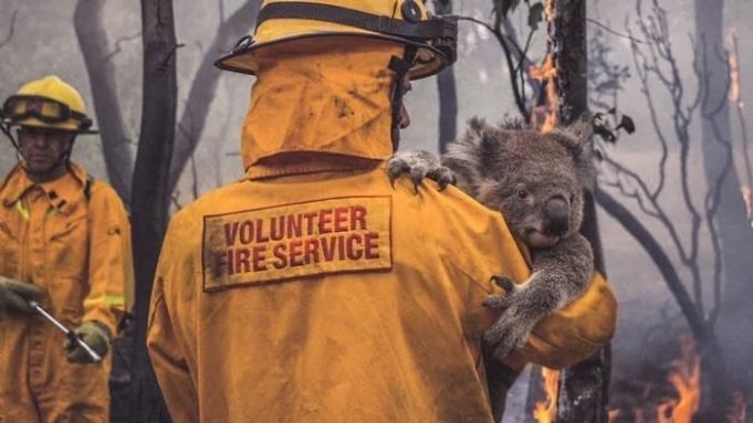 Australia fires 20 pictures that sum up the hell on earth is taking ...